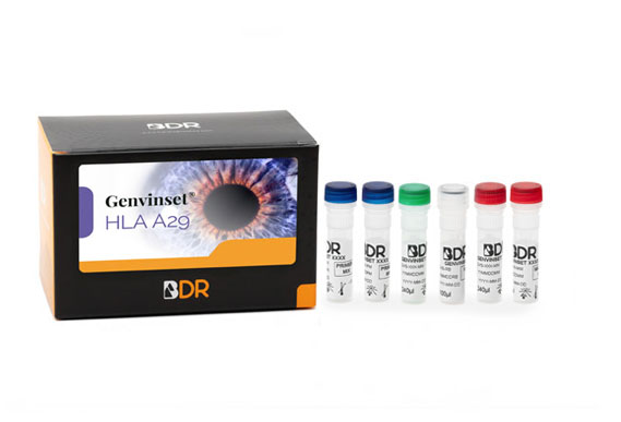 Genvinset® Archives - BDR | Blackhills Diagnostics Resources